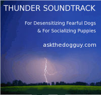 Dog Anxiety and Fear of Thunderstorm Treatment Options