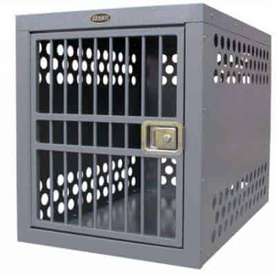 More Crate Training Problems! 4.5 Month Black Labrador Retriever X ...