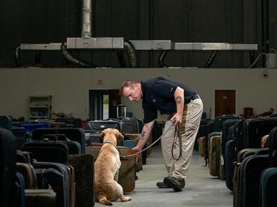The Education of a Bomb Detection Dogs - ASK THE DOG GUY